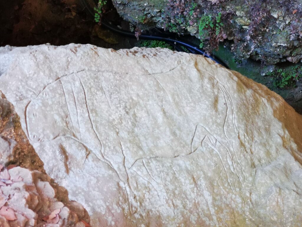 La grotta del Romito, il paleolitico in Calabria sulle orme del "bos ...